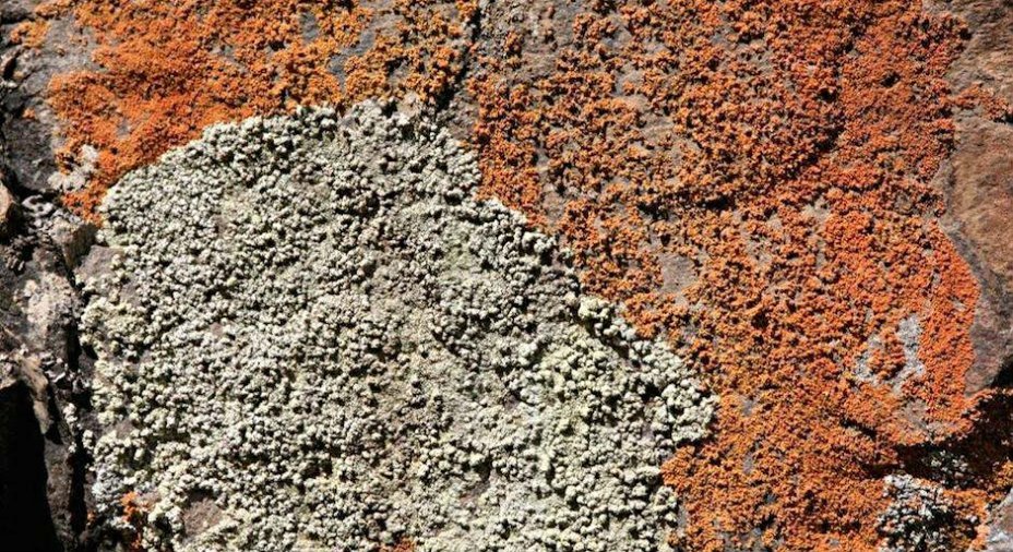 Vacation at Great Sand Dunes National Park