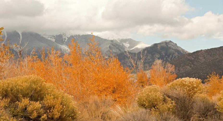 Vacation at Great Sand Dunes National Park